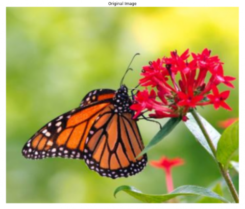 Super Resolution, Going from 3x to 8x Resolution in OpenCV – Bleed AI