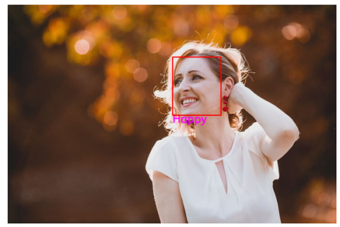 Emotion / Facial Expression Recognition with OpenCV. – Bleed AI